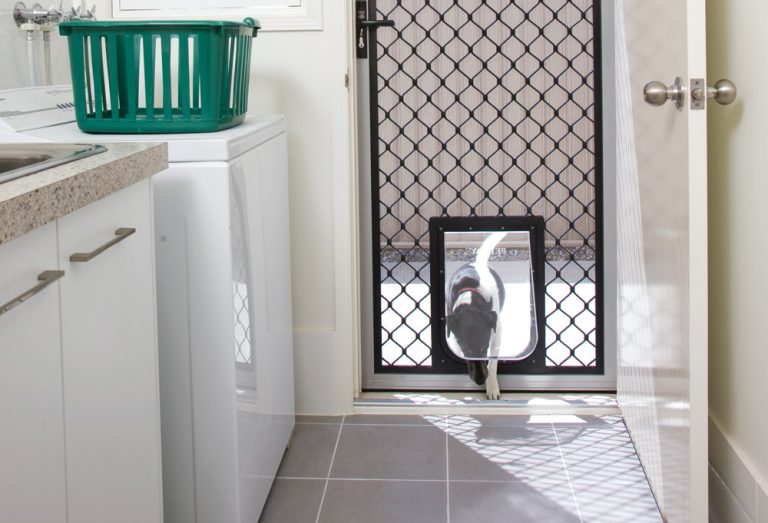 Sunshine Coast Pet Door Installation & Retro-Fitting | Screens Plus